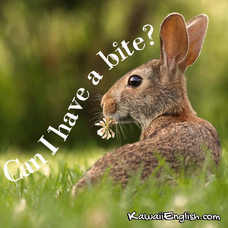 Can I have a bite? | Kawaii English