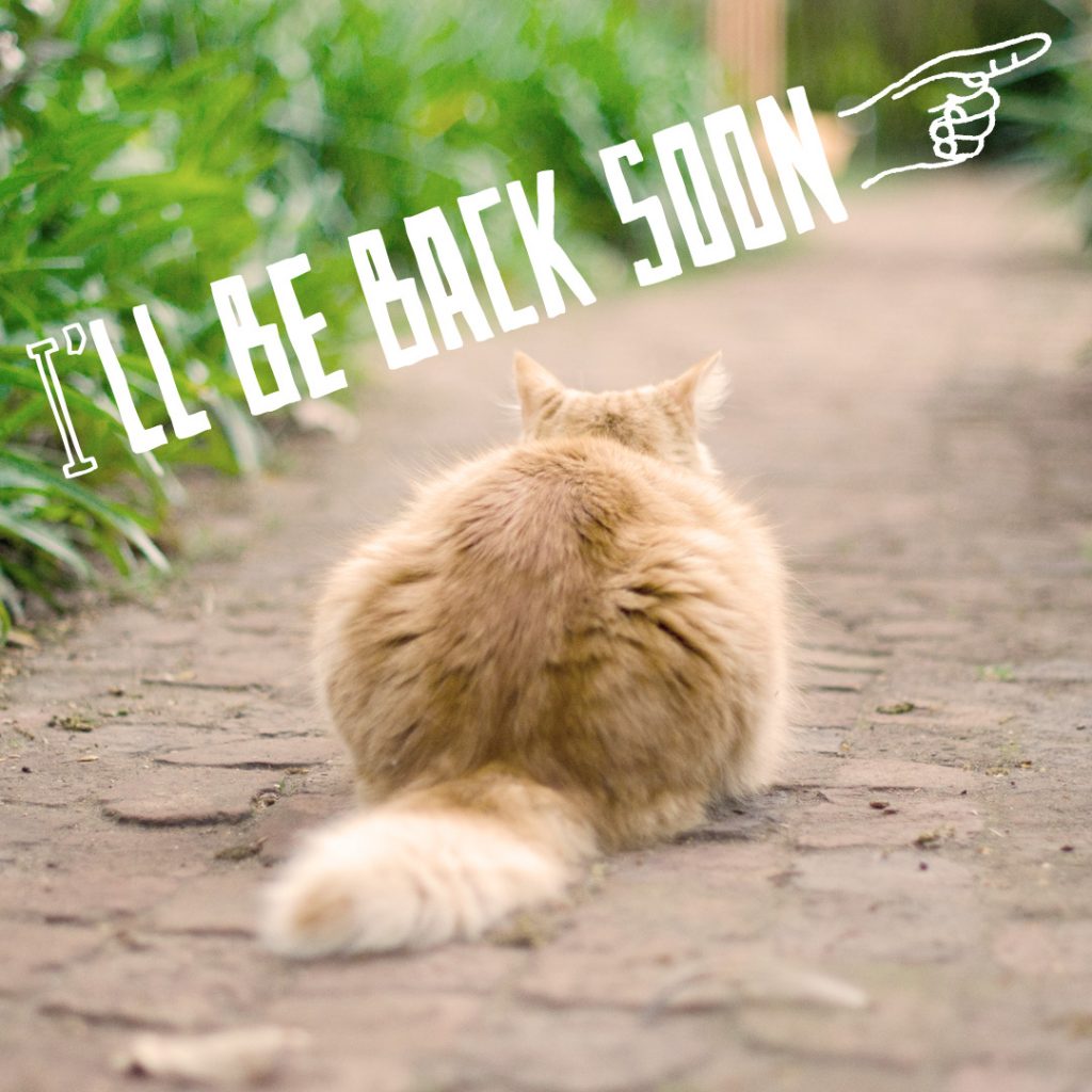 I’ll be back soon. | Kawaii English