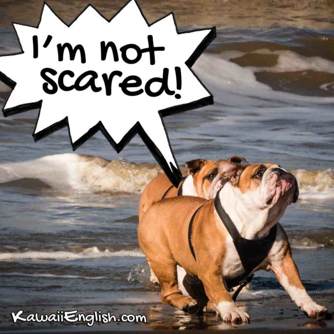 I’m not scared. | Kawaii English