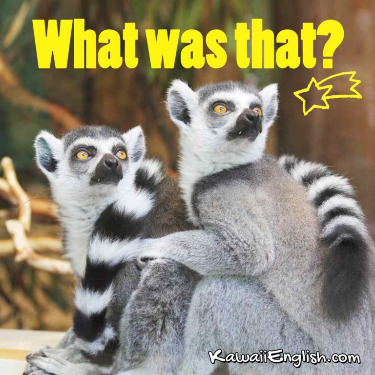 What was that? | Kawaii English